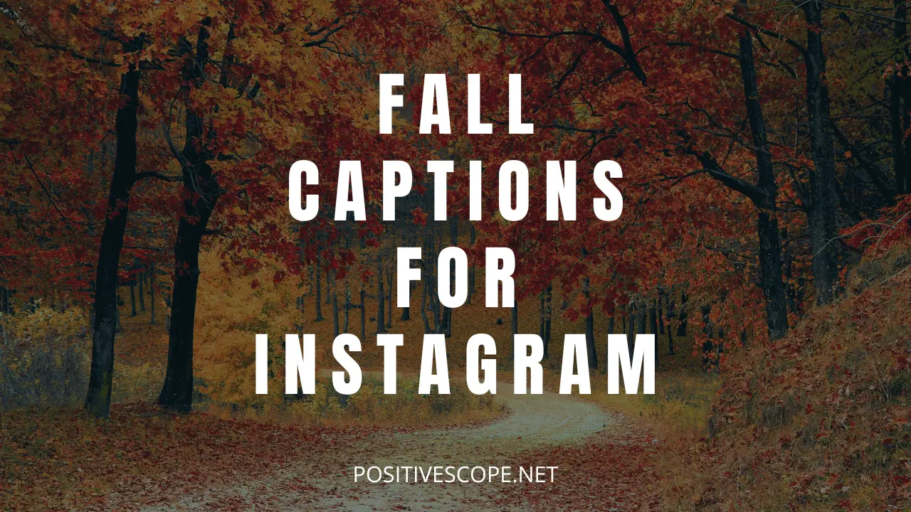 105 BEST Fall Captions For Instagram Positive Scope